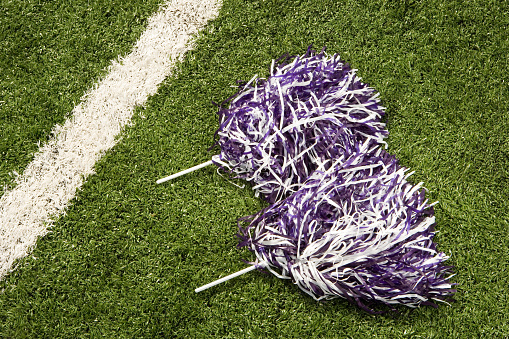 Pompoms Cheerleading 응원술에 대한 스톡 사진 및 기타 이미지 응원술 보라색 Pep Rally Istock