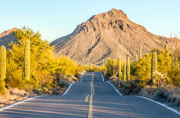 Arizona Road Pictures | Download Free Images on Unsplash