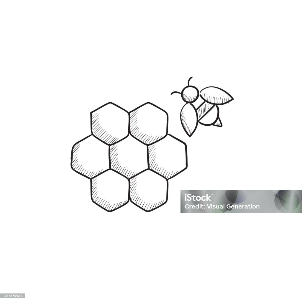 Bienenwabe Und Biene Skizzesymbol Stock Vektor Art und mehr Bilder von ... Bienenwabe Und Biene Skizzesymbol Stock Vektor Art und mehr Bilder von ...