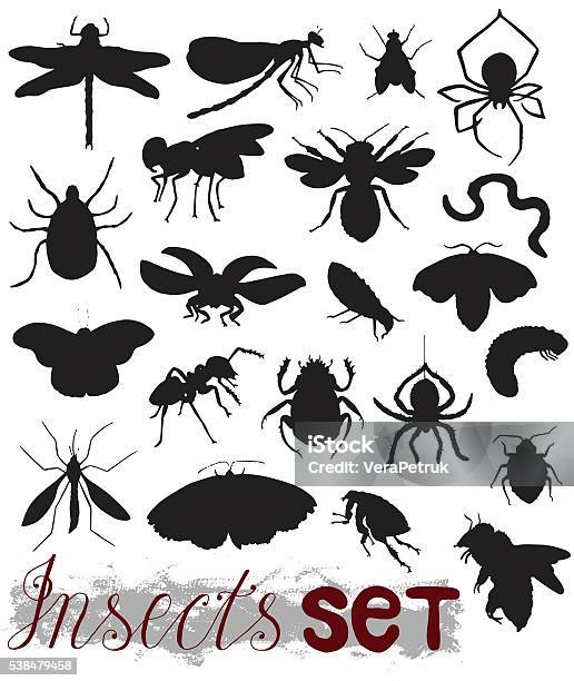 Big Set With Sihouettes Of Various Insects向量圖形及更多昆蟲圖片 昆蟲 側影 蜜蜂 Istock