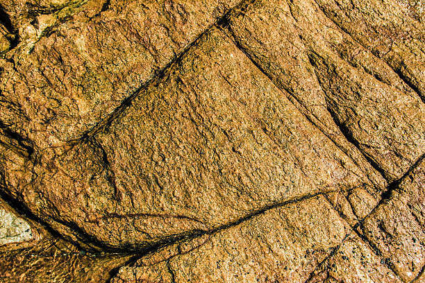 Free Stock Photo of Grey rock background texture with white veins ...