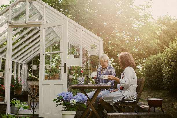 Coffee Garden Pictures | Download Free Images on Unsplash