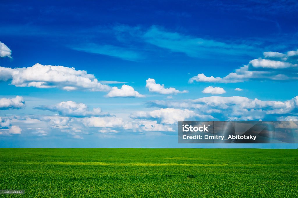 Lapangan Hijau Dan Langit Biru Dengan Lanskap Awan Terang Foto Stok ... Lapangan Hijau Dan Langit Biru Dengan Lanskap Awan Terang Foto Stok ...
