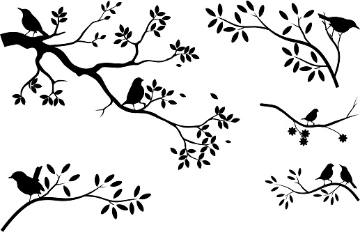Collection Of Tree Silhouette With Bird向量圖形及更多樹圖片 樹 鳥 側影 Istock