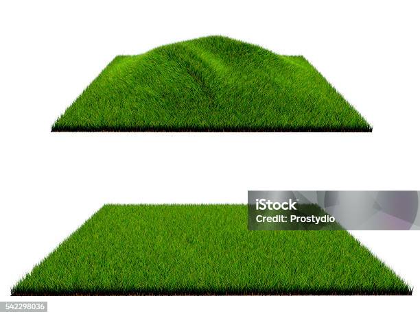 3 D 잔디 흰색 배경의 풀 벼과에 대한 스톡 사진 및 기타 이미지 풀 벼과 인공적인 컷아웃 Istock