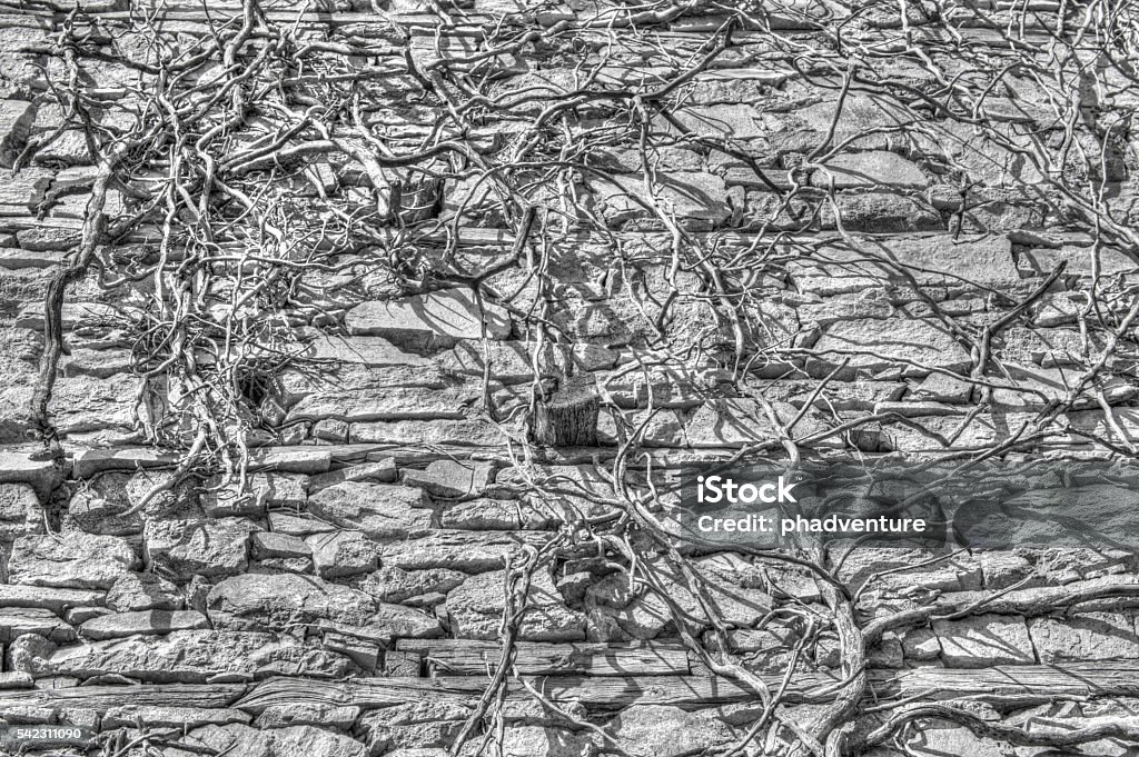 Latar Belakang Dinding Batu Hitam Dan Putih Foto Stok Unduh Gambar
