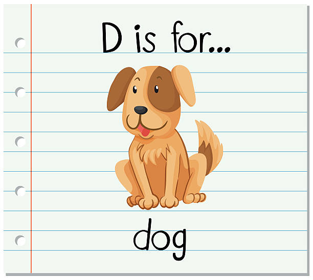 50+ Flashcard Alphabet D Is For Dog Stock Illustrations, Royalty-Free ... 50+ Flashcard Alphabet D Is For Dog Stock Illustrations, Royalty-Free ...