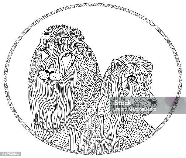 Lion 및 암사자 갈기에 대한 스톡 벡터 아트 및 기타 이미지 갈기 그리기 낙서 드로잉 Istock