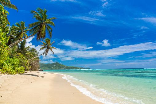 Photo Libre De Droit De Plage Tropicale Aux Seychelles Mahé Banque D