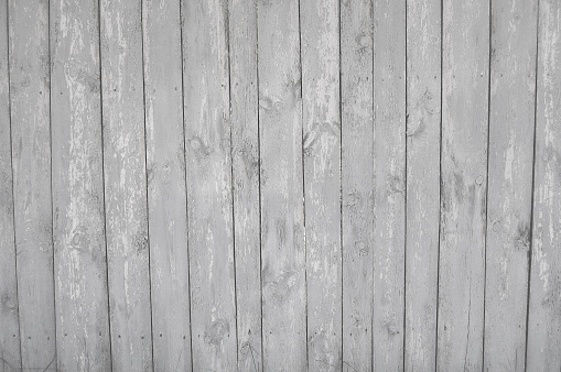 Wooden Planks Wood Background White Grey Stock Photo - Download Image ... Wooden Planks Wood Background White Grey Stock Photo - Download Image ...