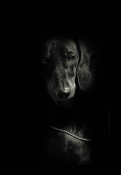 40+ Mirza Aslam Beg Fotos fotos de stock, imagens e fotos royalty-free ... 40+ Mirza Aslam Beg Fotos fotos de stock, imagens e fotos royalty-free ...
