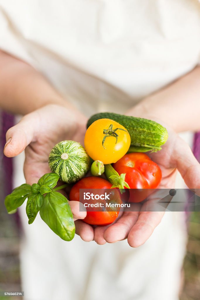 Person Holding Freshly Picked Locally Grown Veggies Stock Photo ... Person Holding Freshly Picked Locally Grown Veggies Stock Photo ...