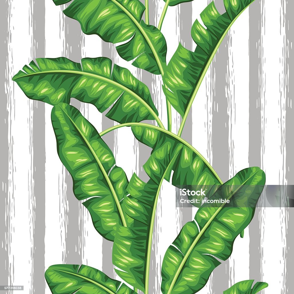 Pola Mulus Dengan Daun Pisang Gambar Dedaunan Tropis Dekoratif