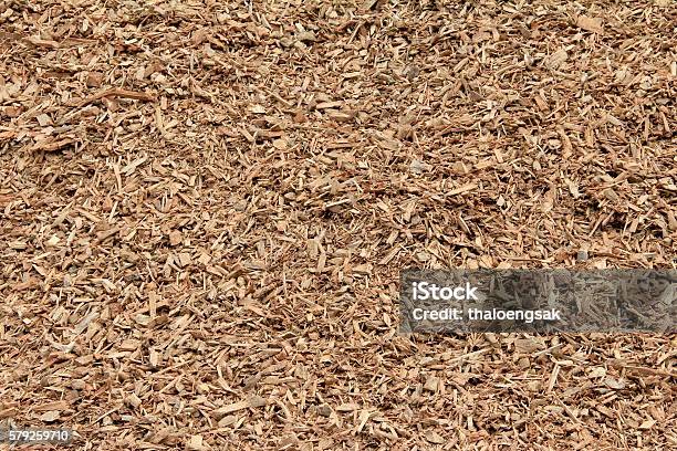 Wood Grain Texture 照片檔及更多 傢俱 照片 傢俱 光 光線充足 Istock