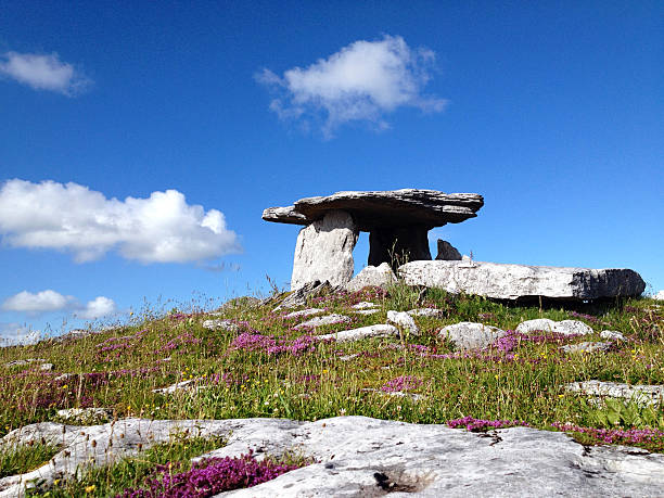 Neolithic Pictures | Download Free Images on Unsplash