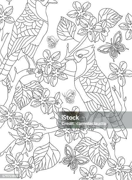 Bird Coloring Page向量圖形及更多塗色書頁 製圖技術圖片 塗色書頁 製圖技術 插圖 無人 Istock