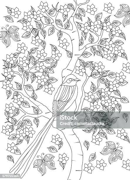 Bird Coloring Page向量圖形及更多塗色書頁 製圖技術圖片 塗色書頁 製圖技術 插圖 無人 Istock
