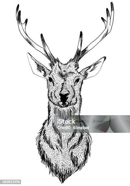 Ilustrasi Vektor Tangan Rusa Natal Digambar Terisolasi Ilustrasi Stok