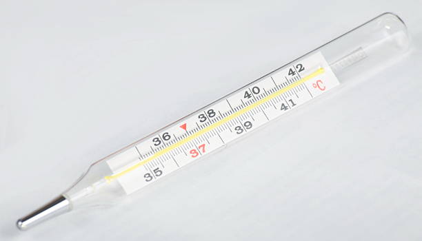 120+ Mercurial Thermometer Stock Photos, Pictures & Royalty-Free Images ... 120+ Mercurial Thermometer Stock Photos, Pictures & Royalty-Free Images ...