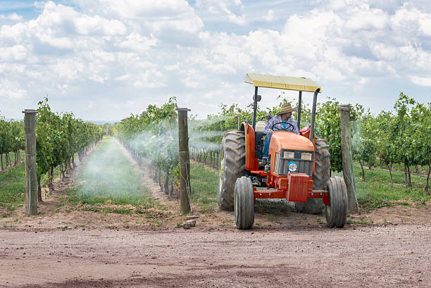 fumigation-chamber Premium Photos, Pictures and Images by Istock