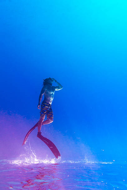 500+ Free Diving Pictures | Download Free Images on Unsplash