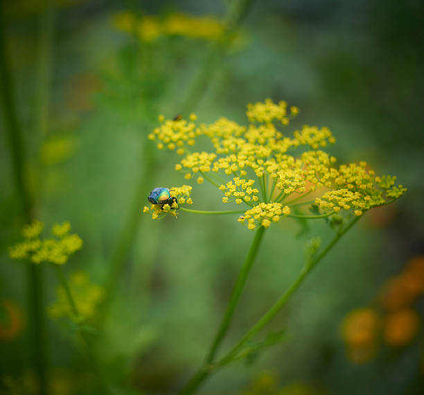 Cytonia Pictures | Download Free Images on Unsplash