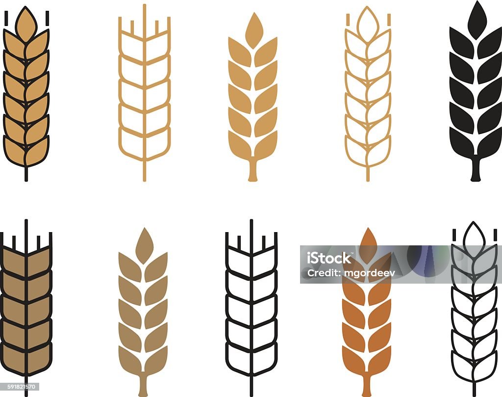 Wheat Ear Icon Set Stock Illustration - Download Image Now ... Wheat Ear Icon Set Stock Illustration - Download Image Now ...