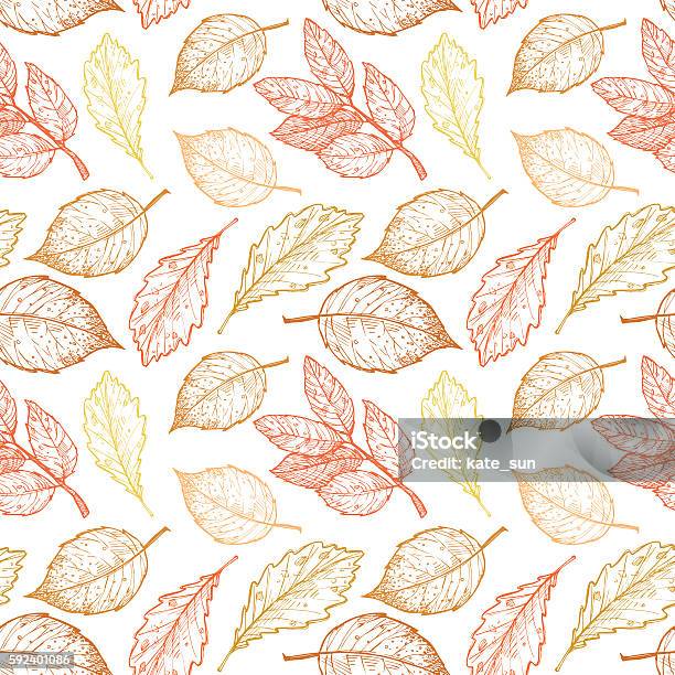 Hand Drawn Vector Illustrations Seamless Pattern With Leaves向量圖形及更多九月圖片
