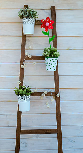 Free Stock Photo of A pink flower on a white ladder | Download Free ...