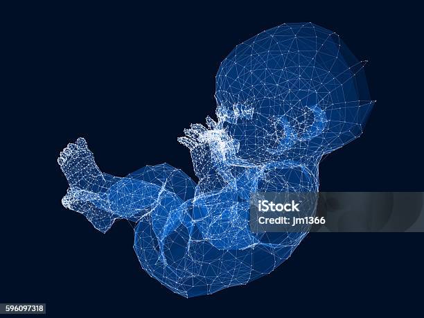 3d 와이어 프레임 아기의 디자인 아기에 대한 스톡 사진 및 기타 이미지 아기 3차원 형태 개념 Istock