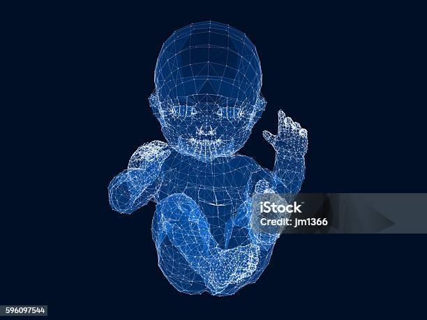 3d 와이어 프레임 아기의 디자인 아기에 대한 스톡 사진 및 기타 이미지 아기 3차원 형태 개념 Istock