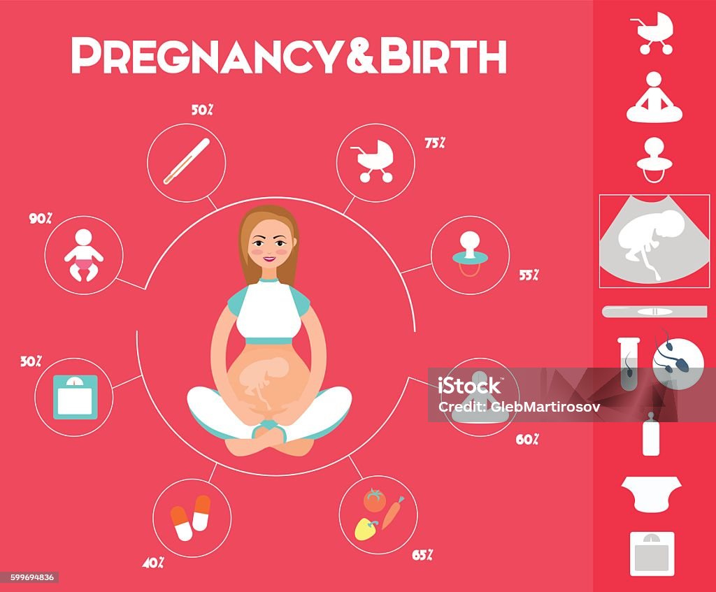 Pregnancy Infographics Set With Reproduction Symbols And Charts Stock