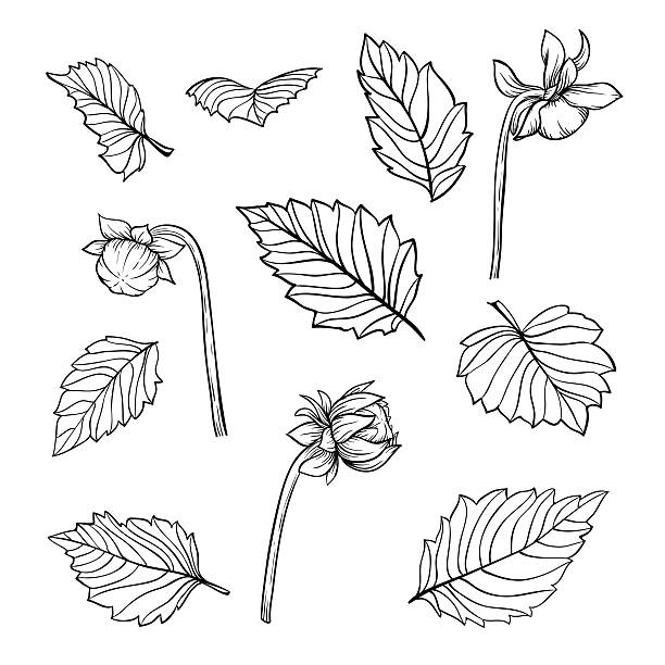 50 Silhouette Of Rose Bush Tattoos Ilustrasi Grafik Vektor And Clip
