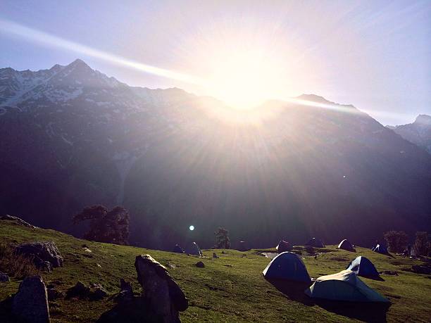 Triund Camp Snowflakes Pictures | Download Free Images on Unsplash