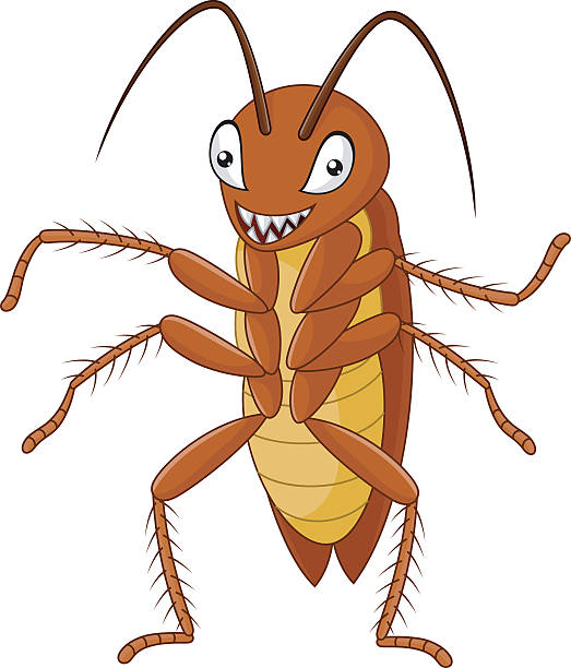 230 Cute Cockroach Clip Art Stock Illustrations Royalty Free Vector Graphics And Clip Art Istock