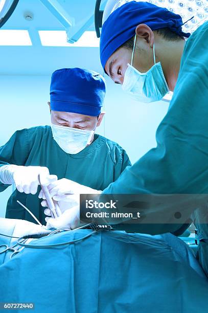 Dua Dokter Bedah Hewan Di Ruang Operasi Foto Stok - Unduh Gambar ... Dua Dokter Bedah Hewan Di Ruang Operasi Foto Stok - Unduh Gambar ...