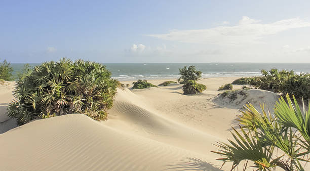 lamu-island Premium Photos, Pictures and Images by Istock