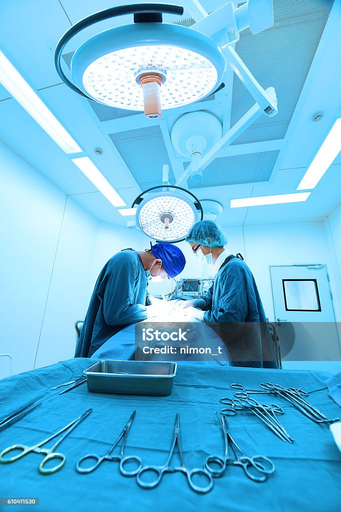 Dua Dokter Bedah Hewan Di Ruang Operasi Foto Stok - Unduh Gambar ... Dua Dokter Bedah Hewan Di Ruang Operasi Foto Stok - Unduh Gambar ...