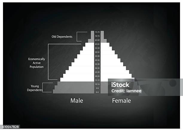 Detail Of Population Pyramids Graphs Depend On Age Stock Illustration