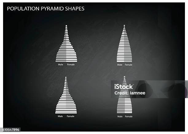 Les 4 Types De Pyramides Des Âges Graphiques Vecteurs Libres De Droits