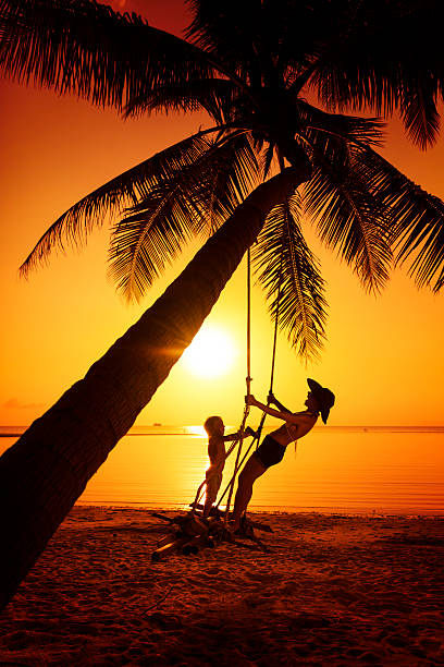 430+ Baby Coconut Tree Stock Photos, Pictures & Royalty-Free Images ... 430+ Baby Coconut Tree Stock Photos, Pictures & Royalty-Free Images ...