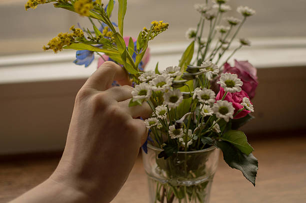 Free handpicked posies stock photos. Download the best free handpicked ...