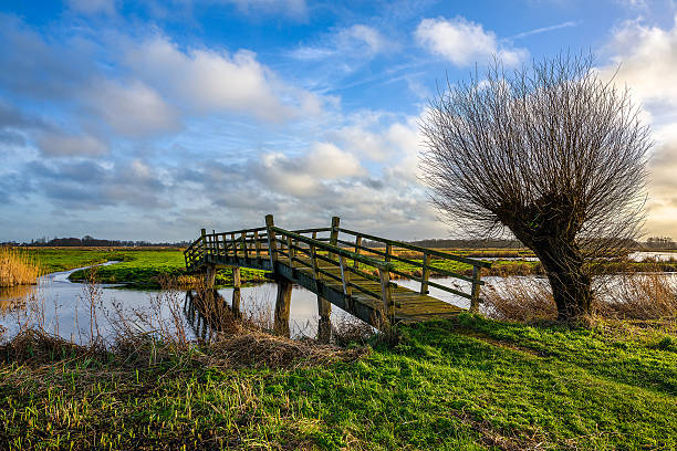 Free picture: bridge, small, river