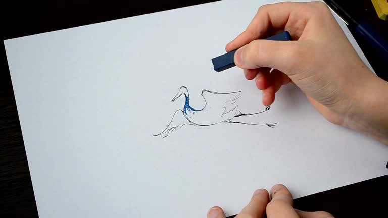 130+ Neck Drawings Stock Videos and Royalty-Free Footage - iStock 130+ Neck Drawings Stock Videos and Royalty-Free Footage - iStock