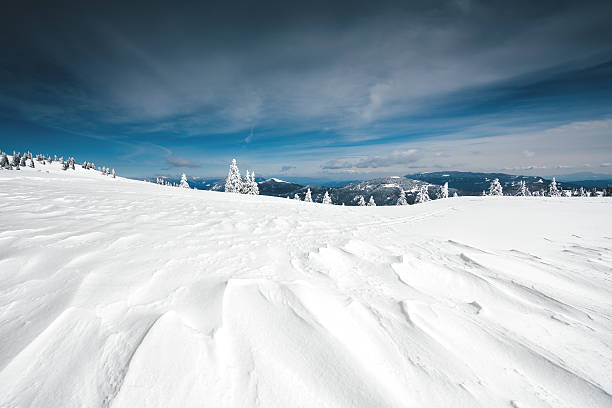 Snowy Field Pictures | Download Free Images on Unsplash