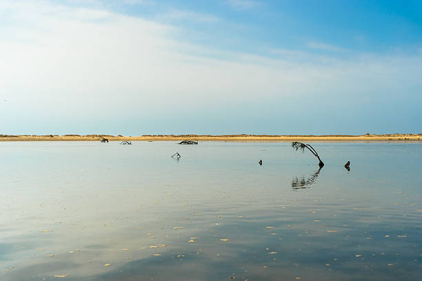 Free Stock Photo of Fiery sunset over the salt marsh of Ria Formosa ...