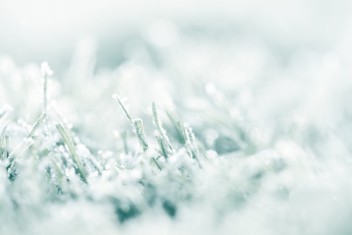 Frost 터치스크린을 사용하는 두 아이 0명에 대한 스톡 사진 및 기타 이미지 0명 가을 겨울 Istock