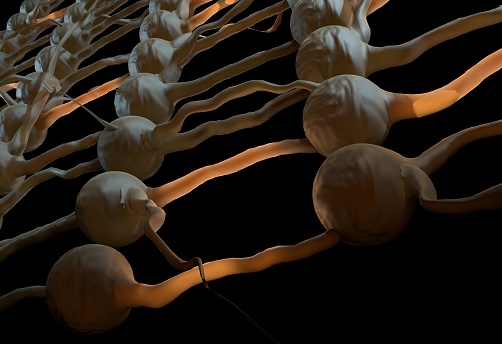 Red Neuronal Artificial Red Neuronal Con Enlaces De Conexión
