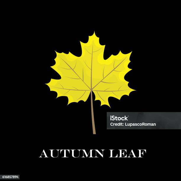 Feuilles Dautomne Isolées Sur Fond Noir Style Plat De Dessin Animé