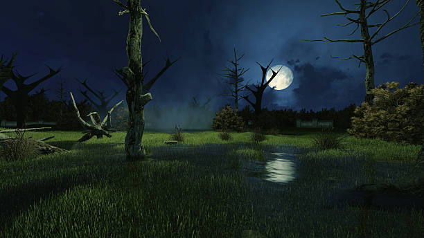 Moonlit Marsh – Free Nature Stock